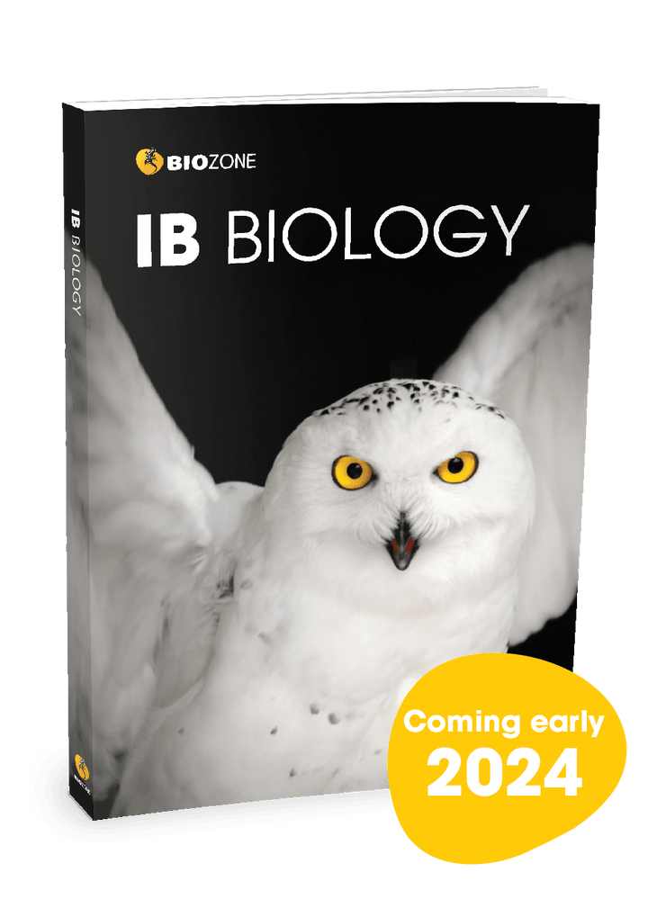 Helping the growing community of IB schools